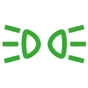 Dashboardlampjes en -symbolen - iTheorie