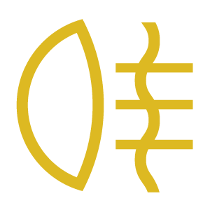 Dashboardlampjes en -symbolen - iTheorie